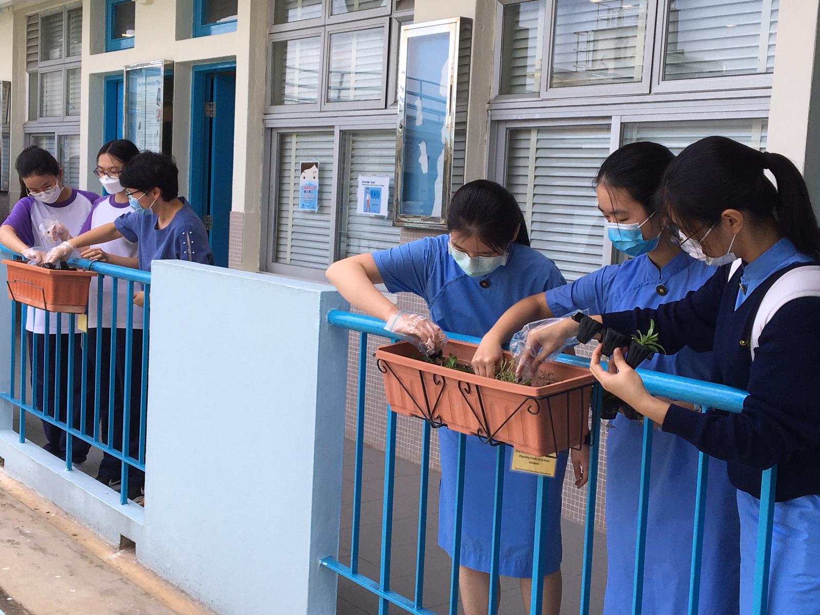 “One Person, One Flower” Scheme – Kowloon True Light School