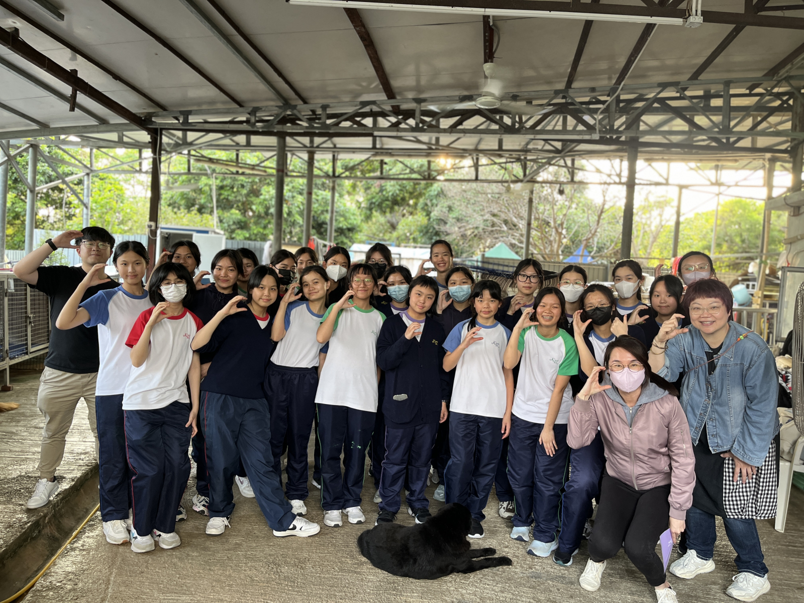 “Big Tree” Pet Care Service Learning – Kowloon True Light School